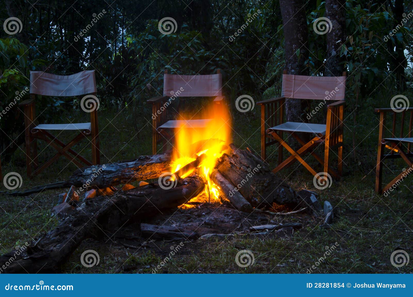 Camp fire stock photo. Image of campfire, camp, burning - 28281854