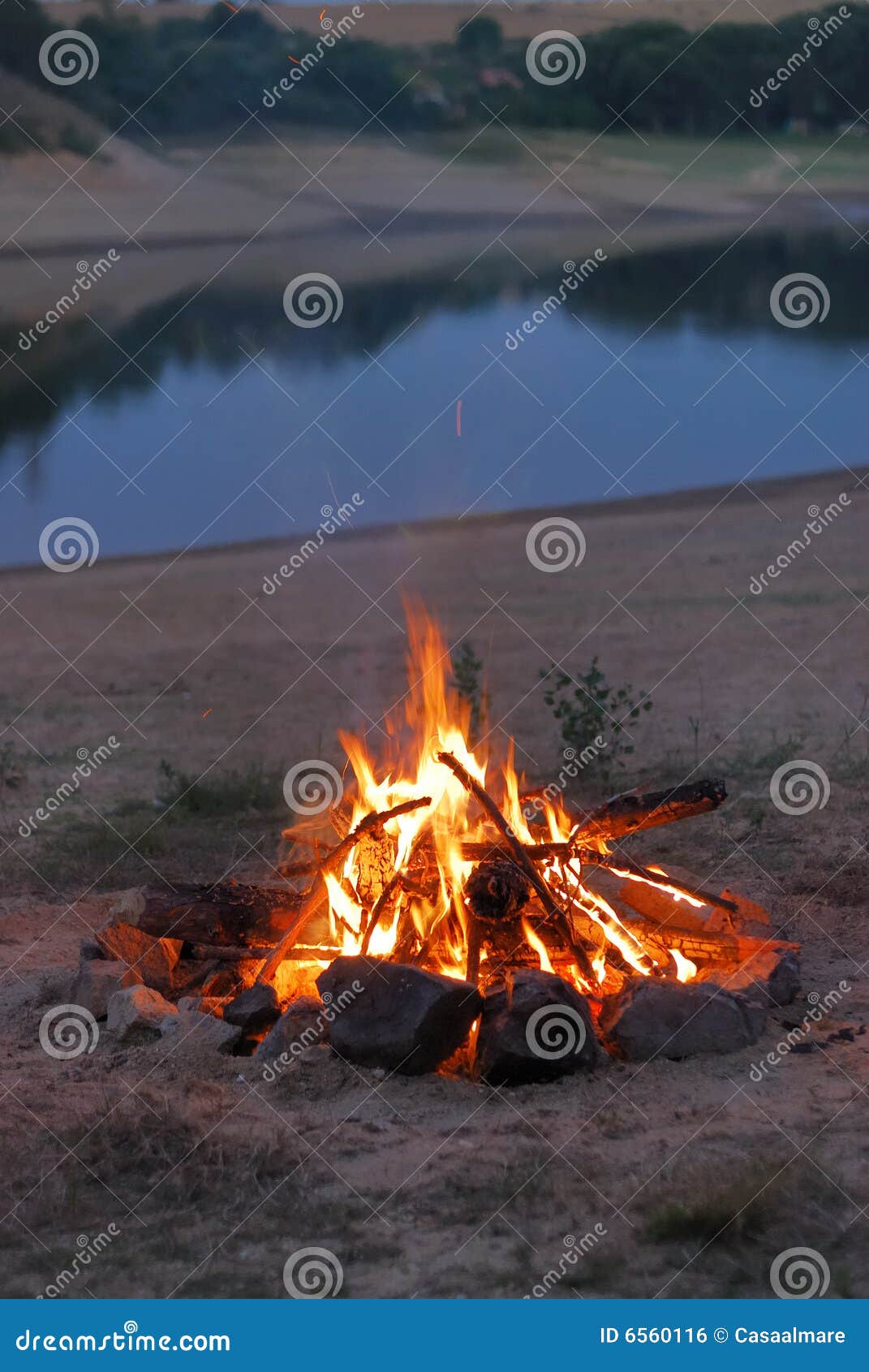 Camp-fire stock photo. Image of wild, picnic, night, bonfire - 6560116