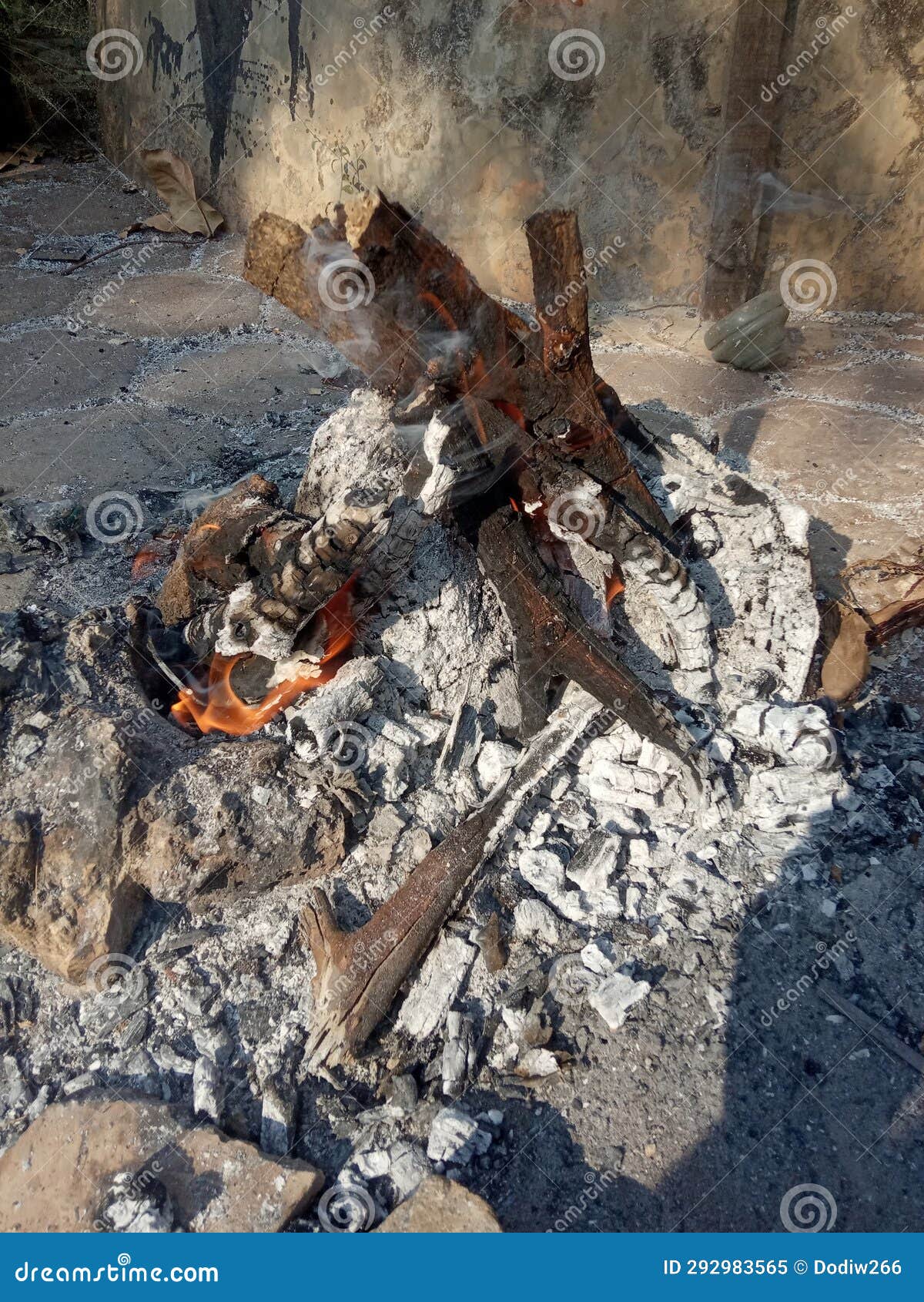 Camp fire burn stock image. Image of camp, fire, animal - 292983565