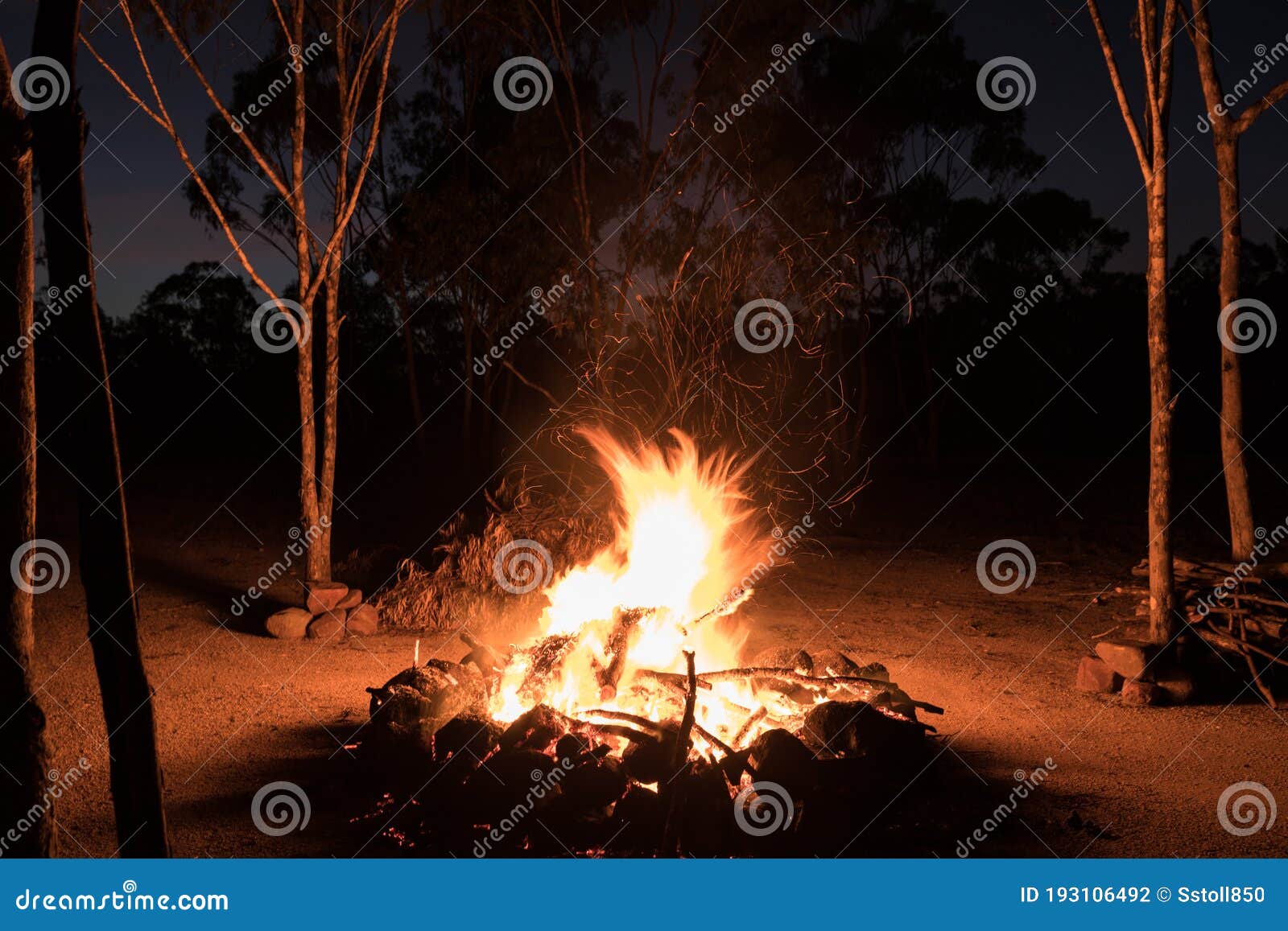 Camp Fire Burning in Bush Setting Stock Photo - Image of long, fire ...
