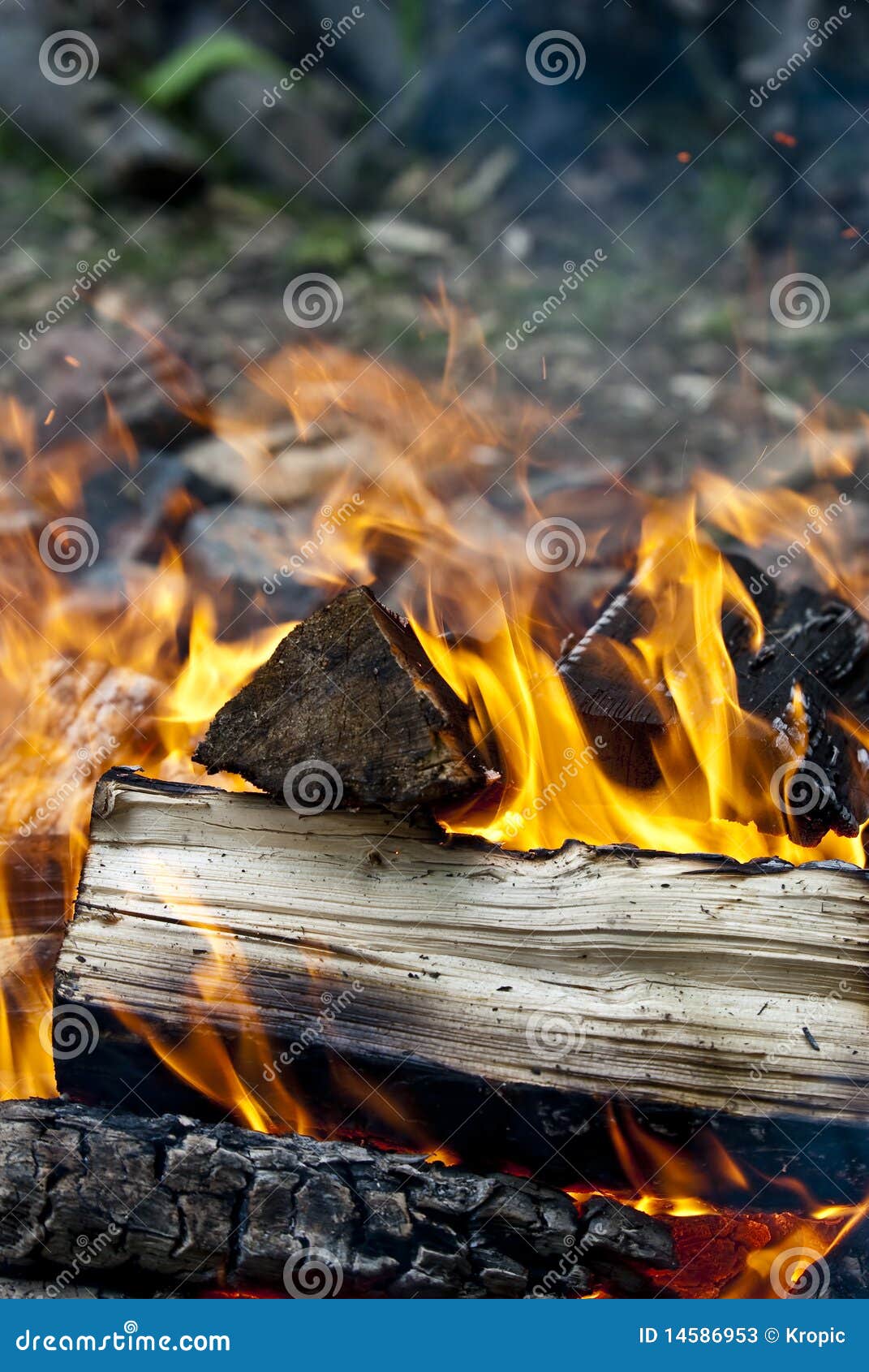 Camp Fire Burning In The Evening Stock Image - Image of fiery, element ...