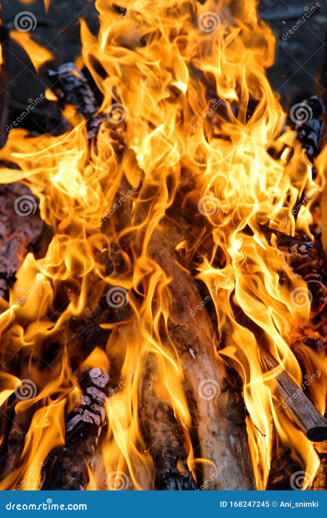 Fire flames. Camp fire. stock image. Image of energy - 168247245