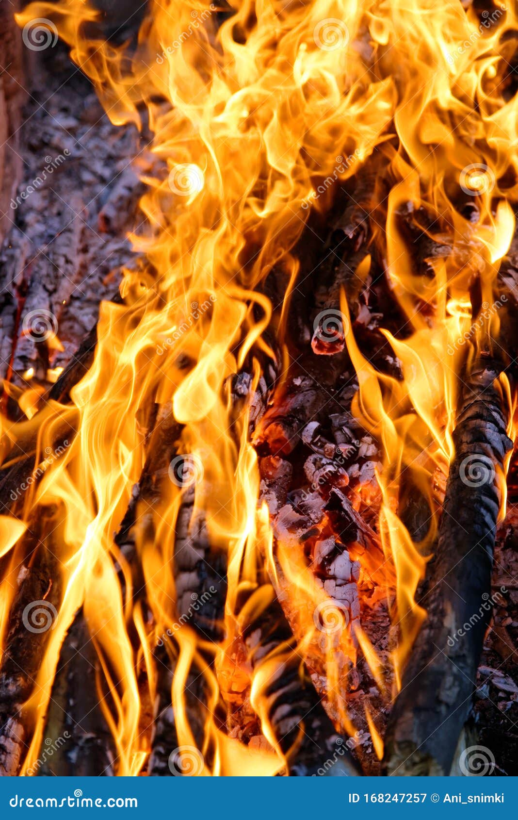 Fire flames. Camp fire. stock image. Image of campfire - 168247257