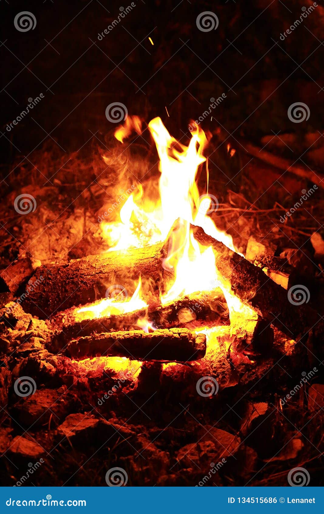 Camp fire stock photo. Image of burning, bright, camping - 134515686