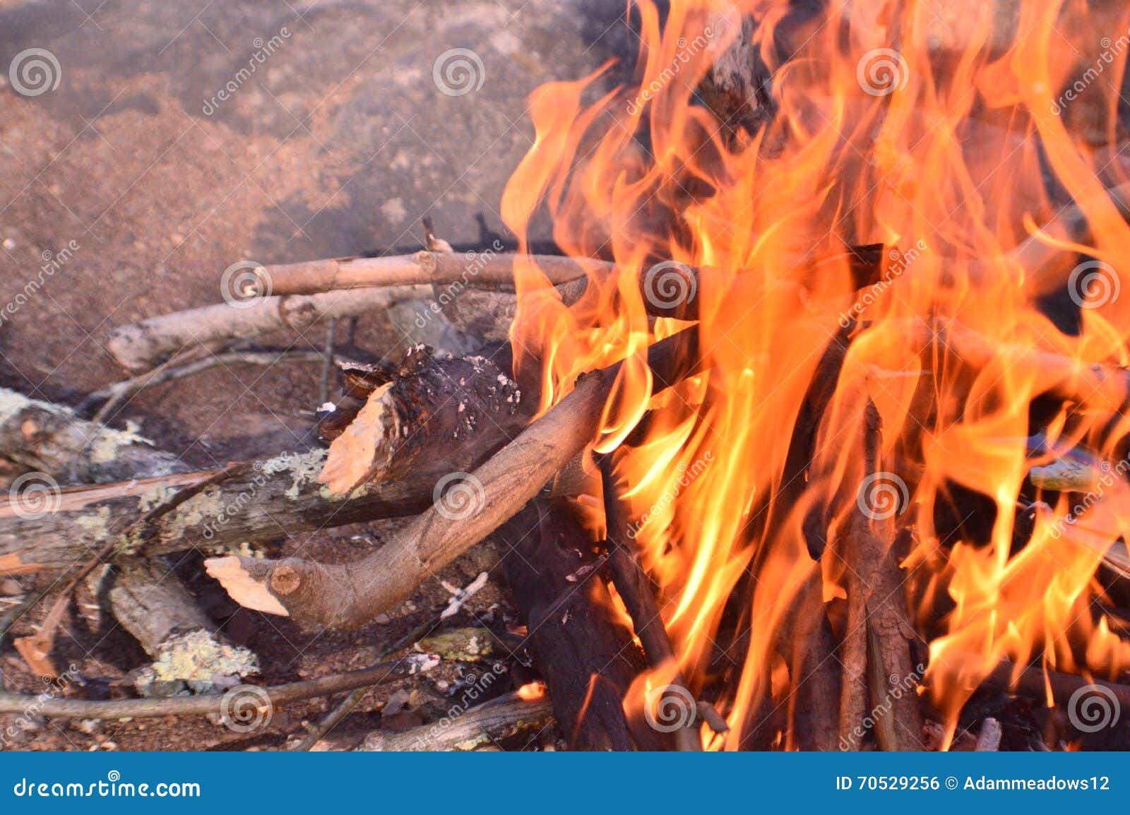 Camp fire stock photo. Image of burnt, bonfire, smoke - 70529256