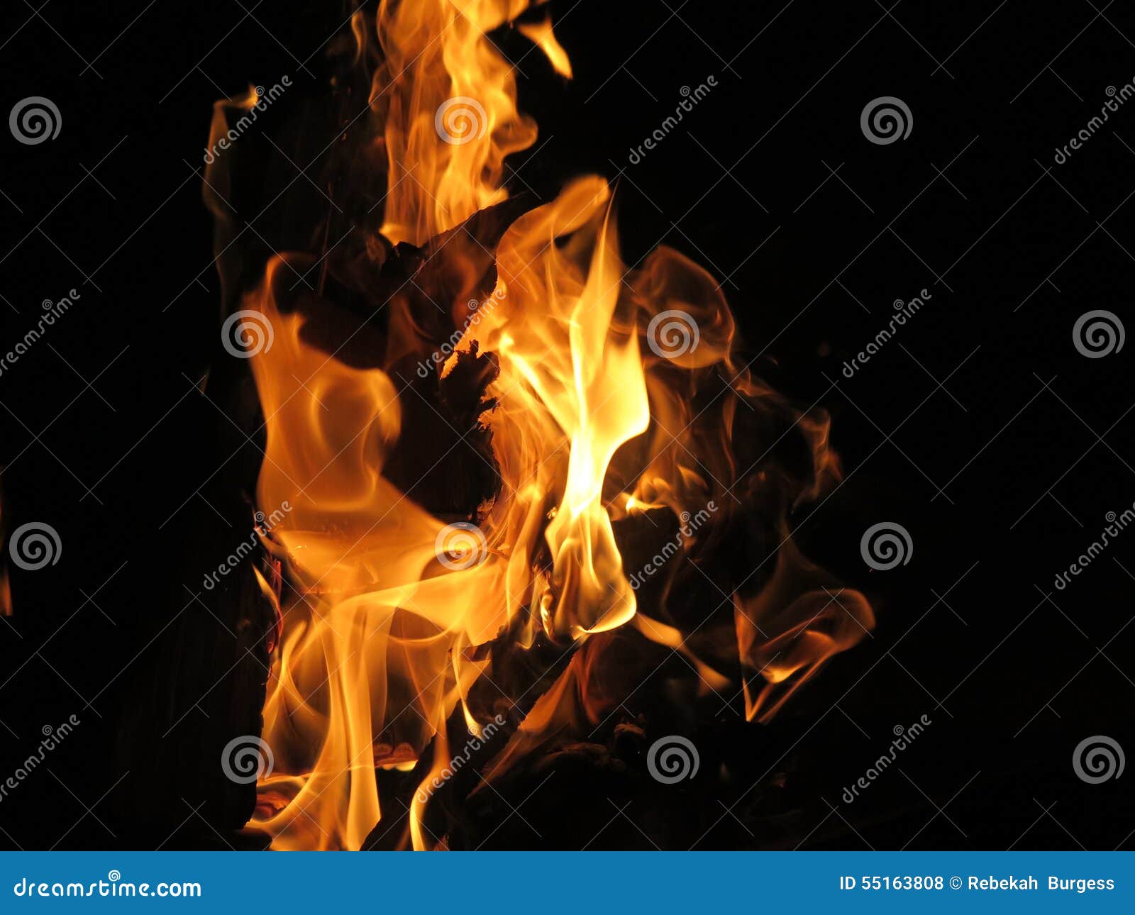 Camp Fire stock photo. Image of ignite, ablaze, fiery - 55163808