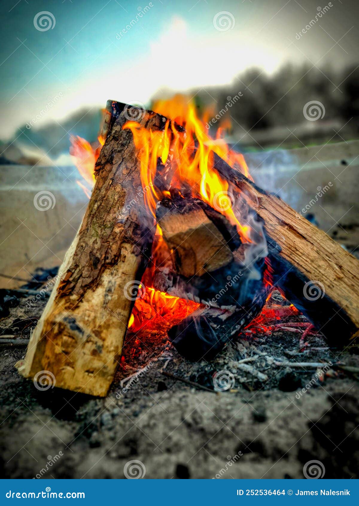 Camp Fire Fiddlehead Campground Royalty-Free Stock Image ...