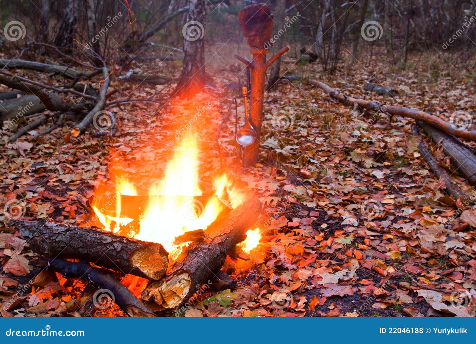 Camp-fire in a forest stock photo. Image of burn, fire - 22046188