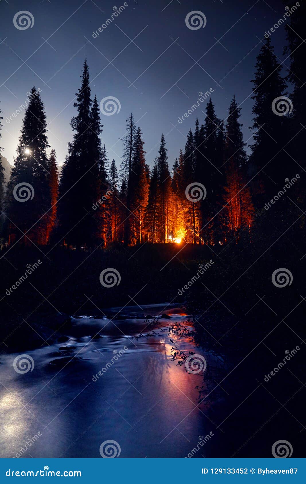 Autumn forest scenery stock photo. Image of golden, leaves - 129133452