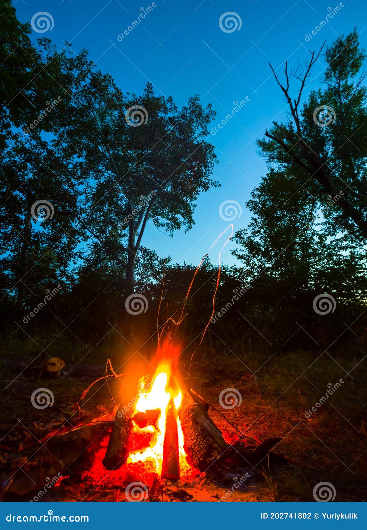 Camp Fire in a Forest at the Twilight Stock Photo - Image of heat ...