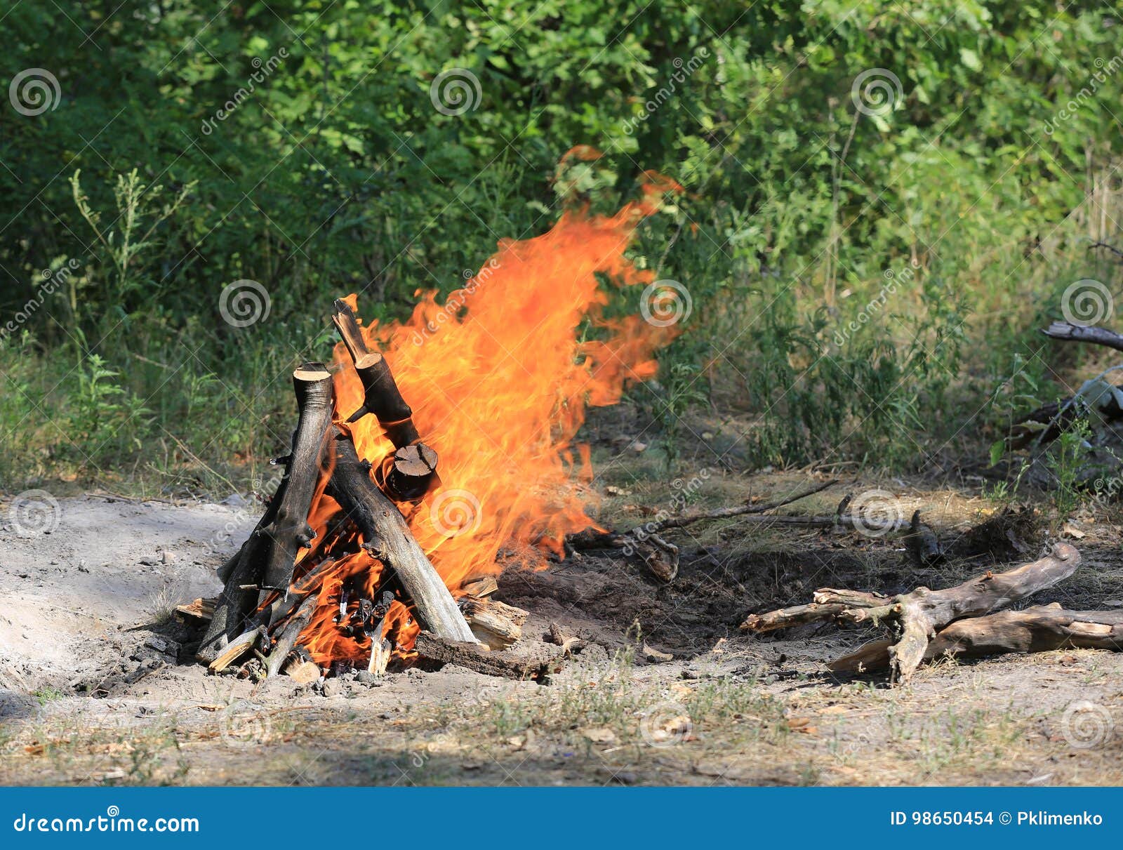 Camp fire in forest stock photo. Image of energy, tree - 98650454