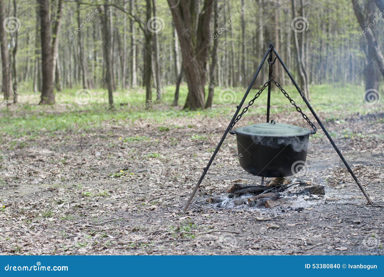 Camp Fire with Logs and Pot Stock Photo - Image of fire, outdoor: 53380840