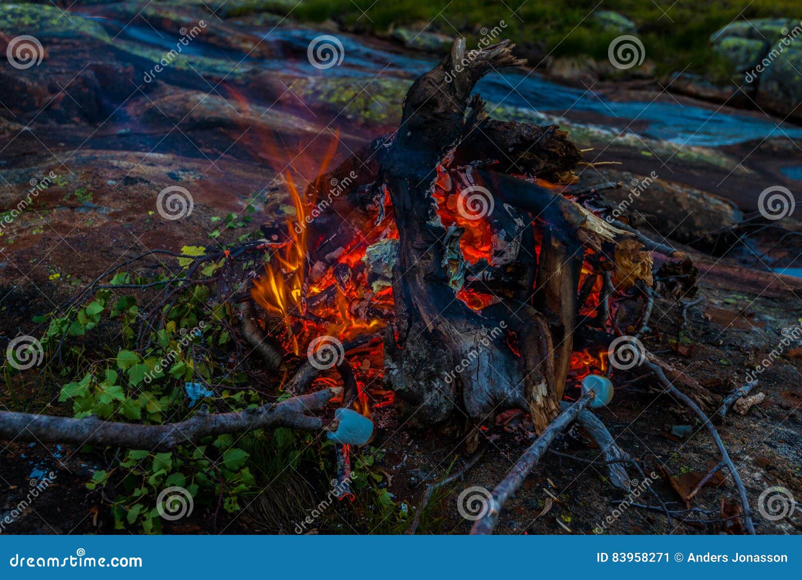 The camp fire stock image. Image of barbeque, heat, night - 83958271