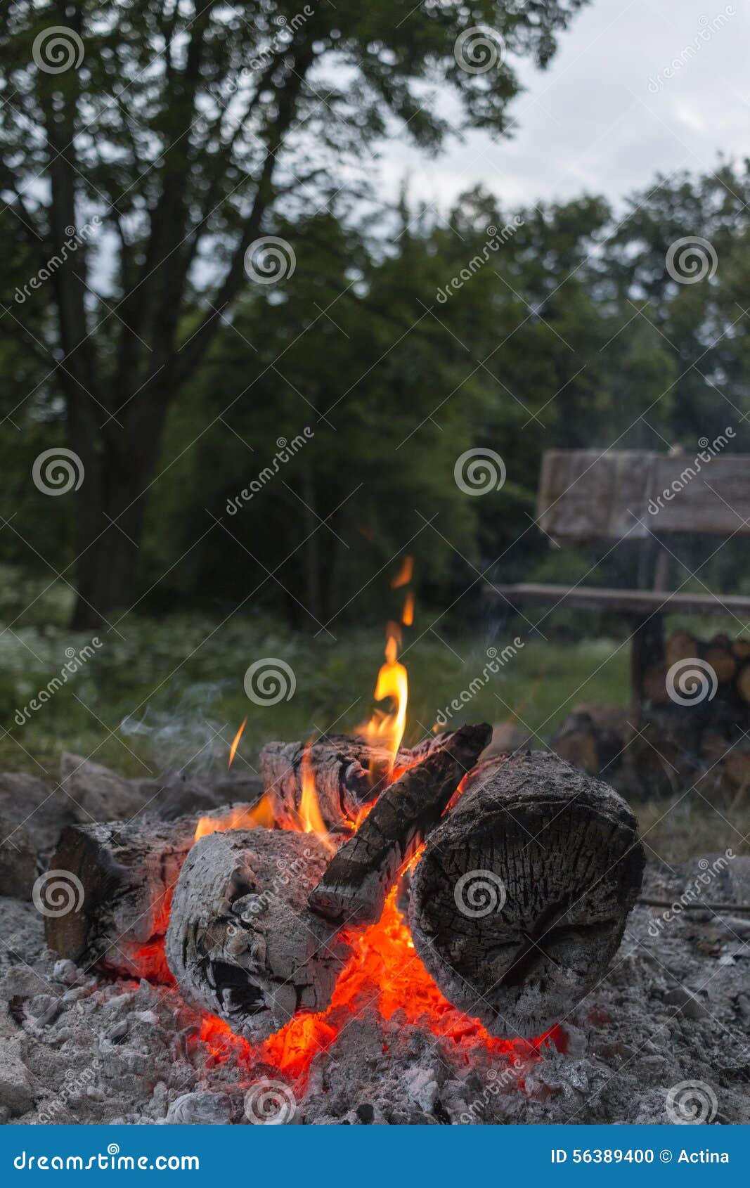 Camp fire vertical image stock photo. Image of horizontal - 56389400