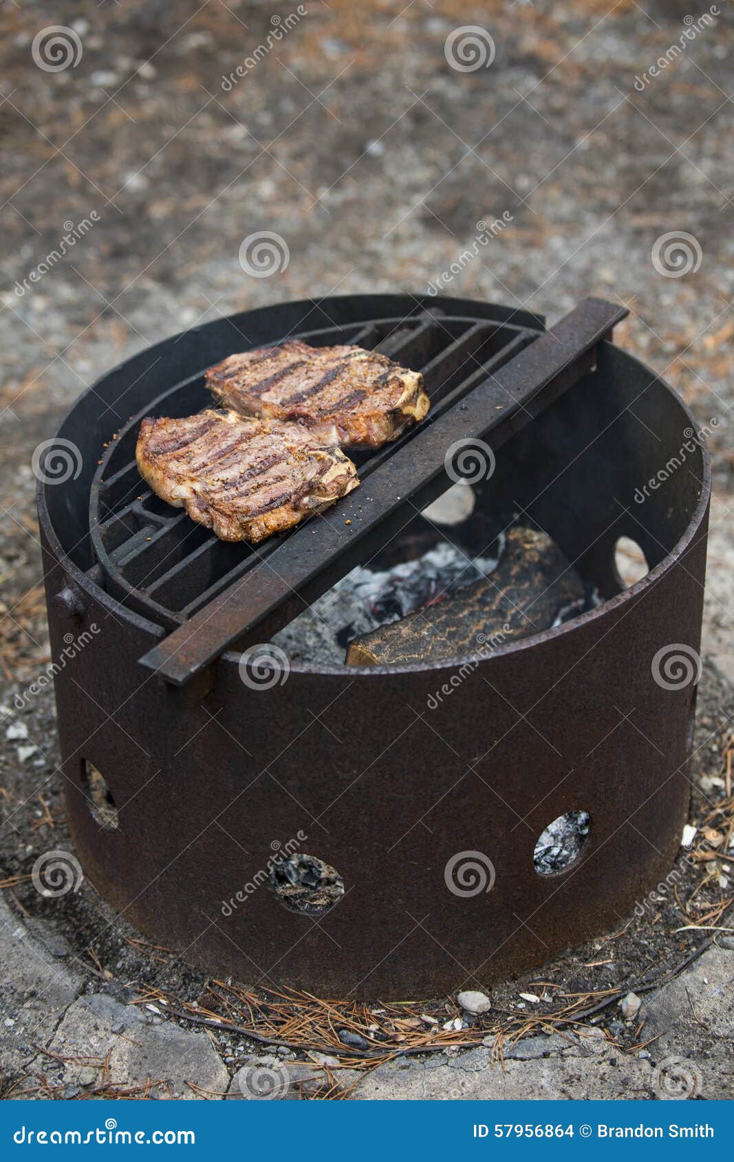 Camp Food stock photo. Image of grill, striploin, recreation - 57956864