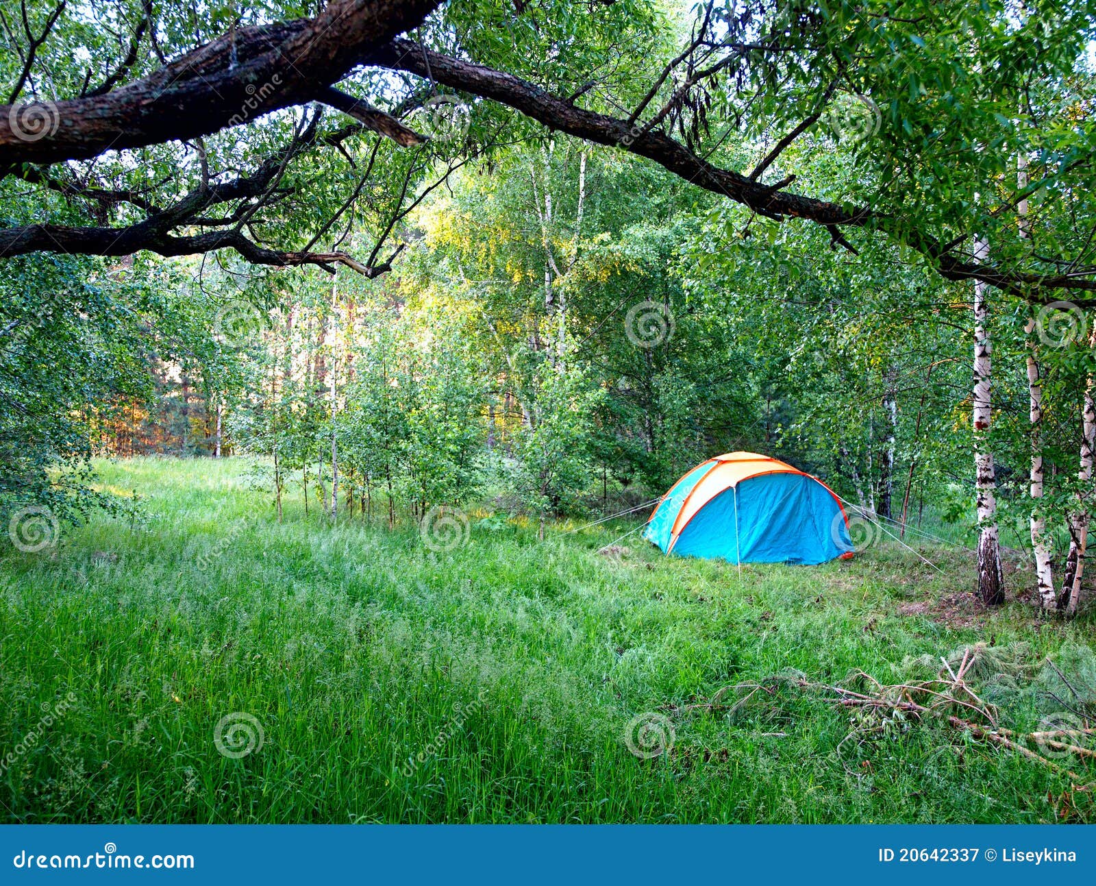 Camp in forest stock image. Image of colorful, forest - 20642337