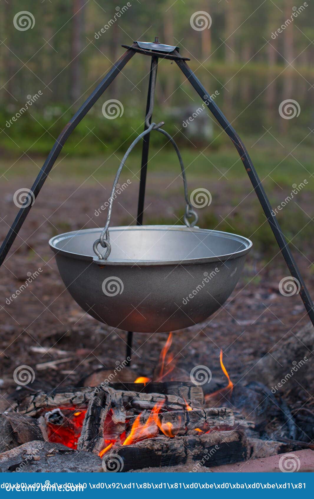 A Camp Pot Hangs Over the Fire on a Tripod. Stock Image - Image of ...