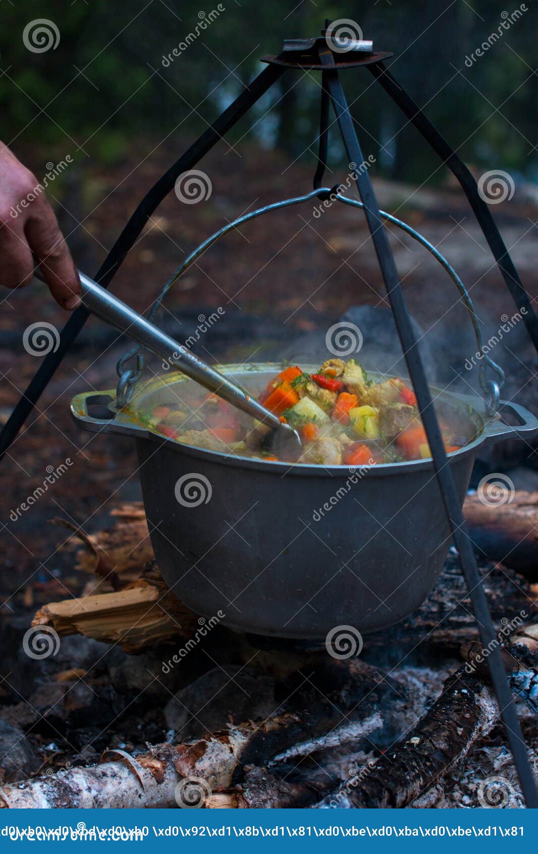 A Camp Pot Hangs Over the Fire on a Tripod. Stock Photo - Image of ...