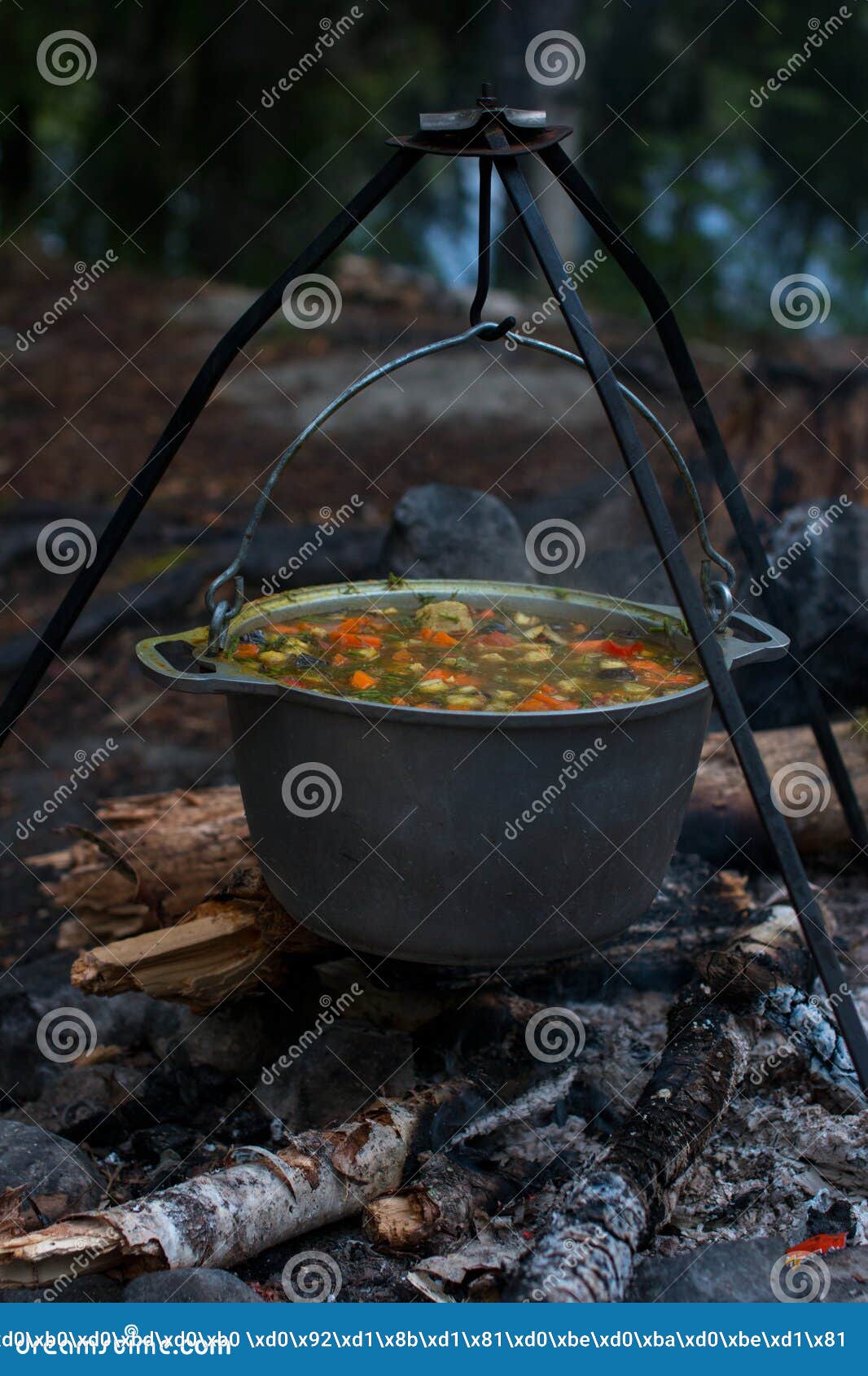 A Camp Pot Hangs Over the Fire on a Tripod. Stock Photo - Image of ...