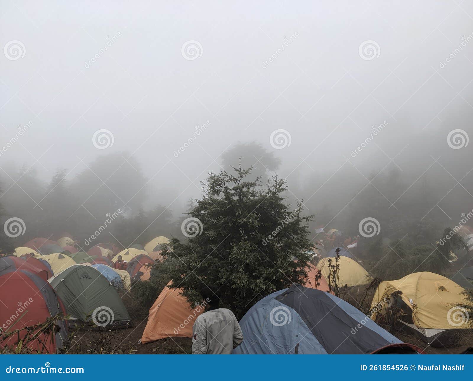 Camp on Prau mountains editorial photo. Image of prau - 261854526