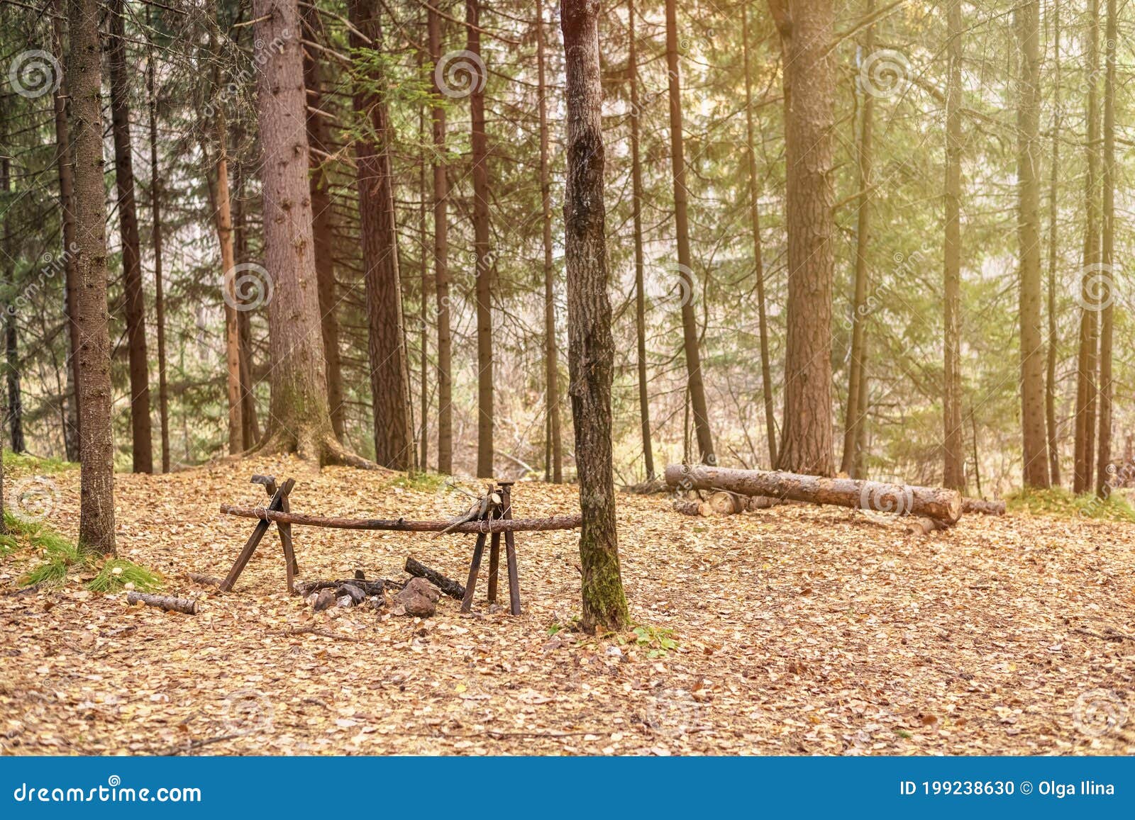 Camp Site, Fire Pit Next To Stream Woods with Trees Evening Sunset ...