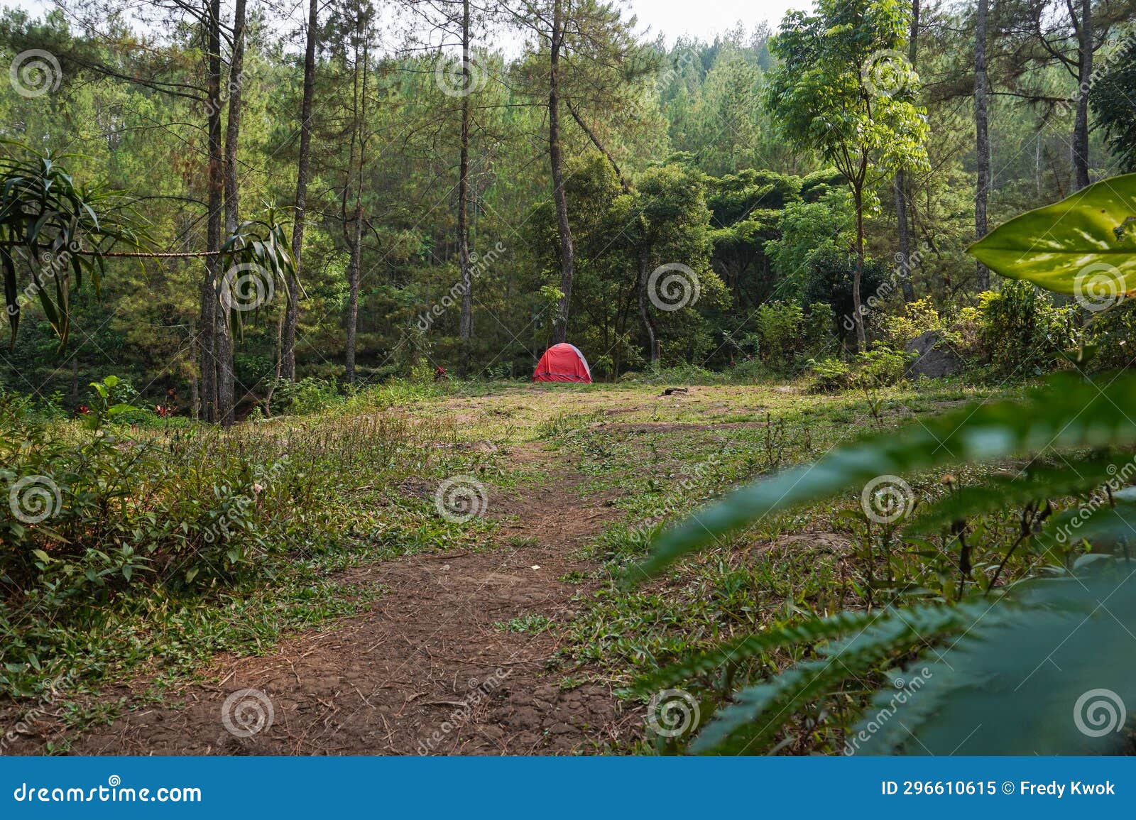 Camp Site in the Forest, Camp Ground at Bedengan, East Java, Indonesia ...