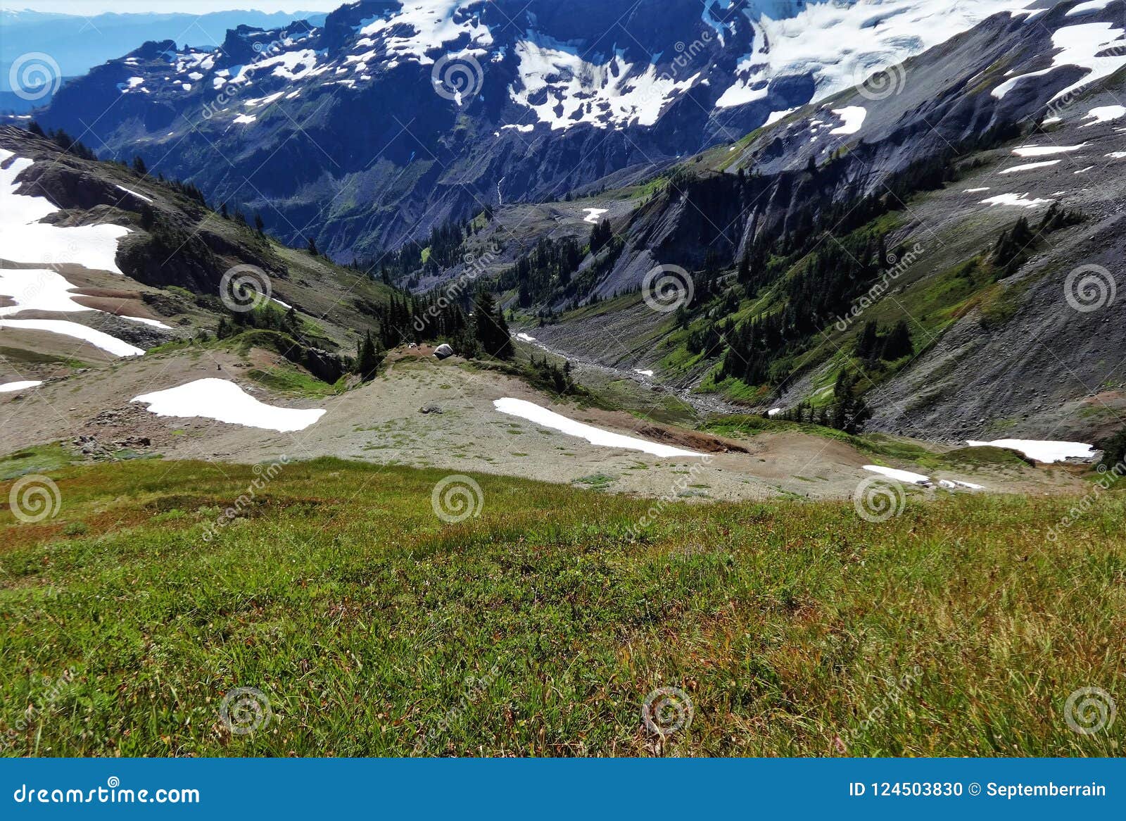 A Camp Site at Ptarmigan Ridge on Mount Baker Stock Photo - Image of ...