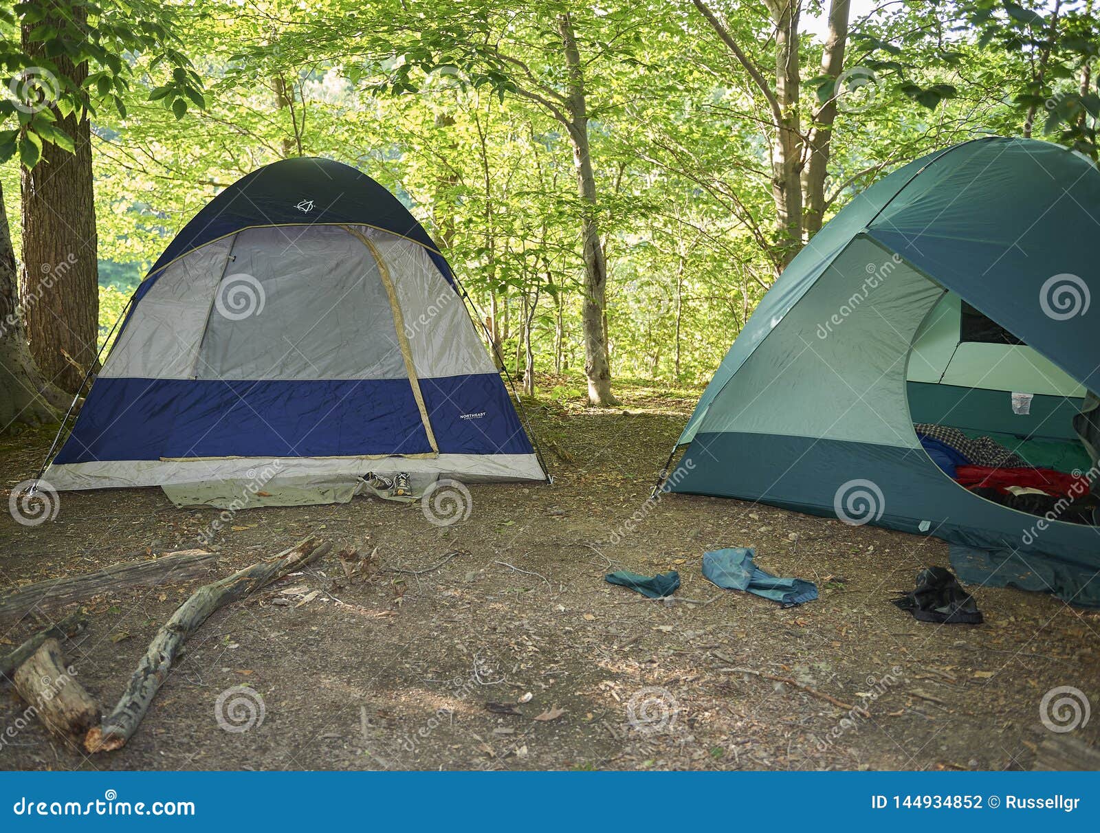 Tents Setup For A Group Camping At The Green Grass Meadow. Multiple ...