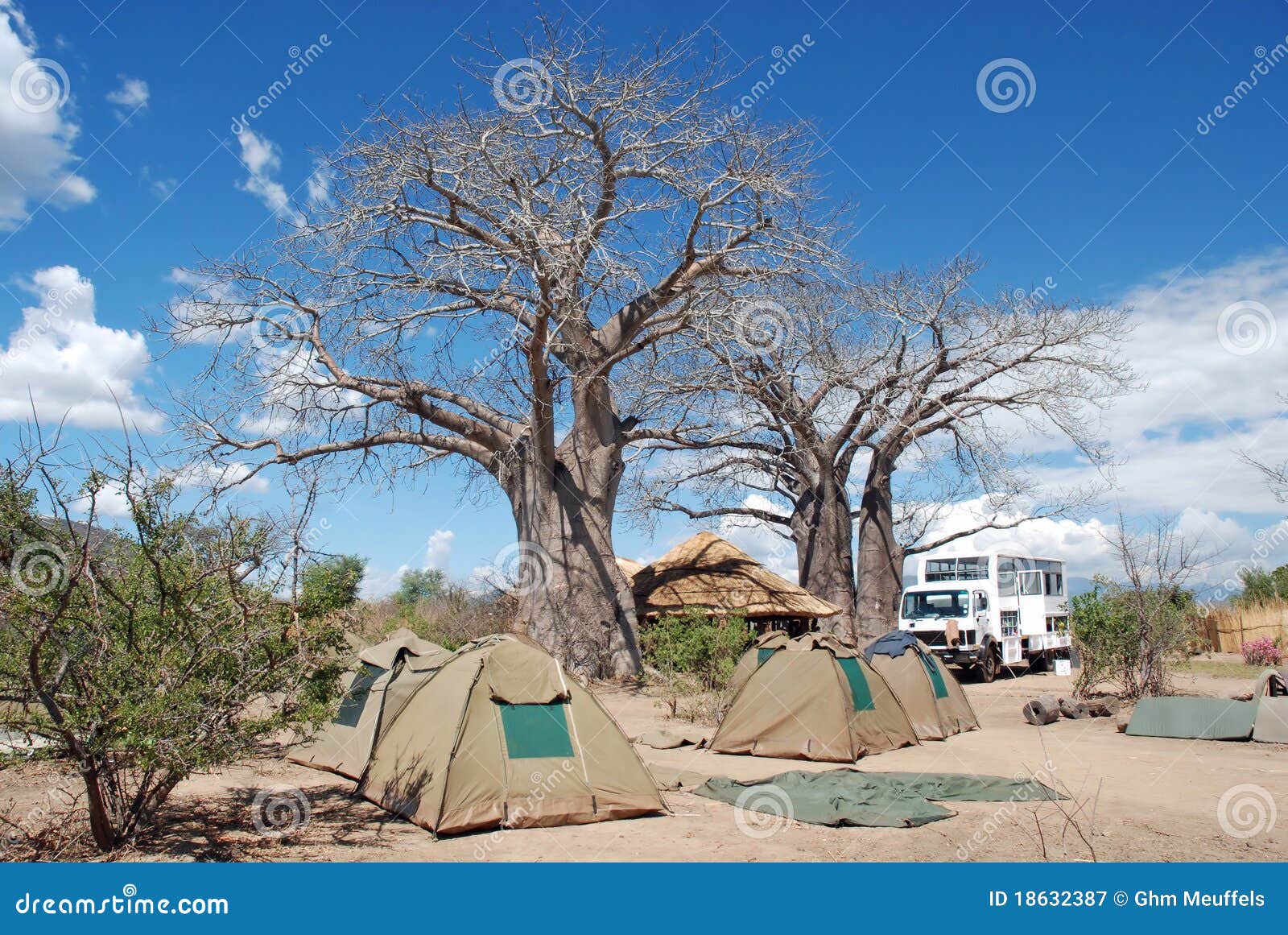 Camp Under an African Baobab Tree Stock Image - Image of bread, boaboa ...