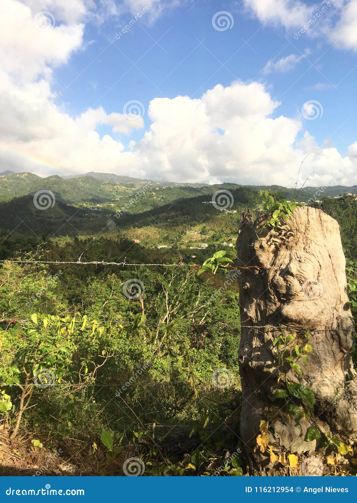 Camp view stock photo. Image of rico, camp, beautiful - 116212954