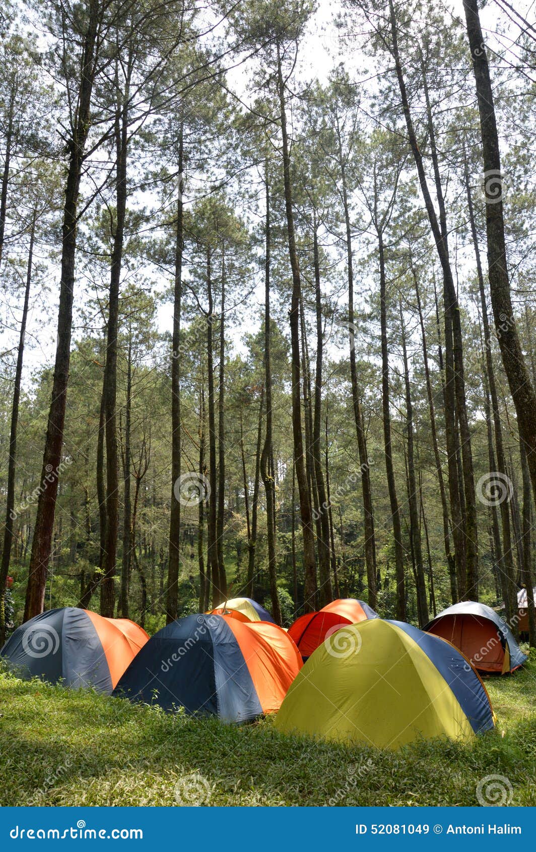 Camp in the woods stock image. Image of peaceful, outside - 52081049