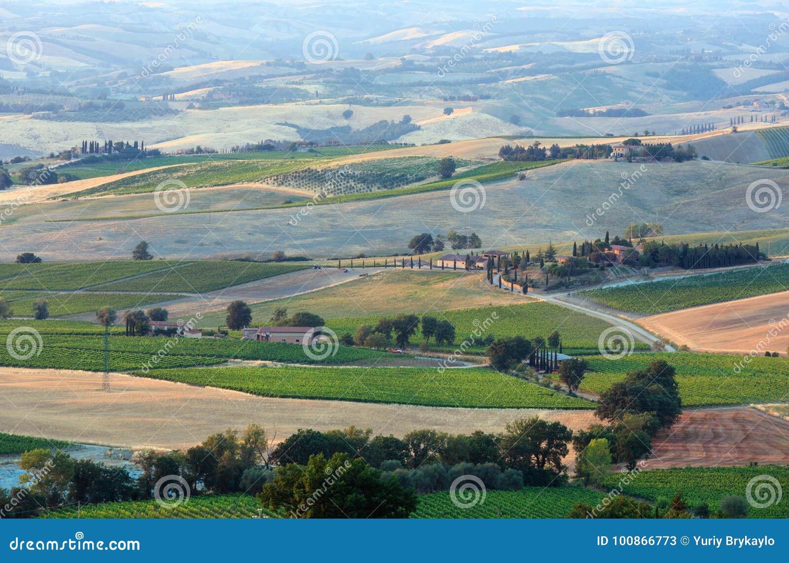 Campagna Di Alba Della Toscana, Italia Immagine Stock - Immagine di ...