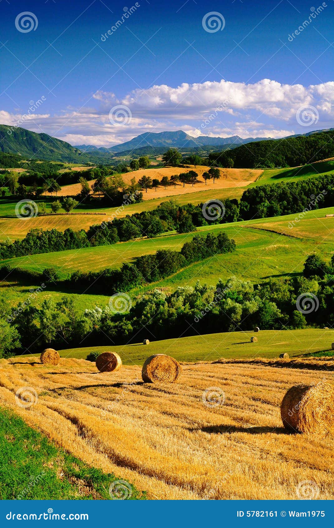Campagna italiana immagine stock. Immagine di zona, coltivato - 5782161