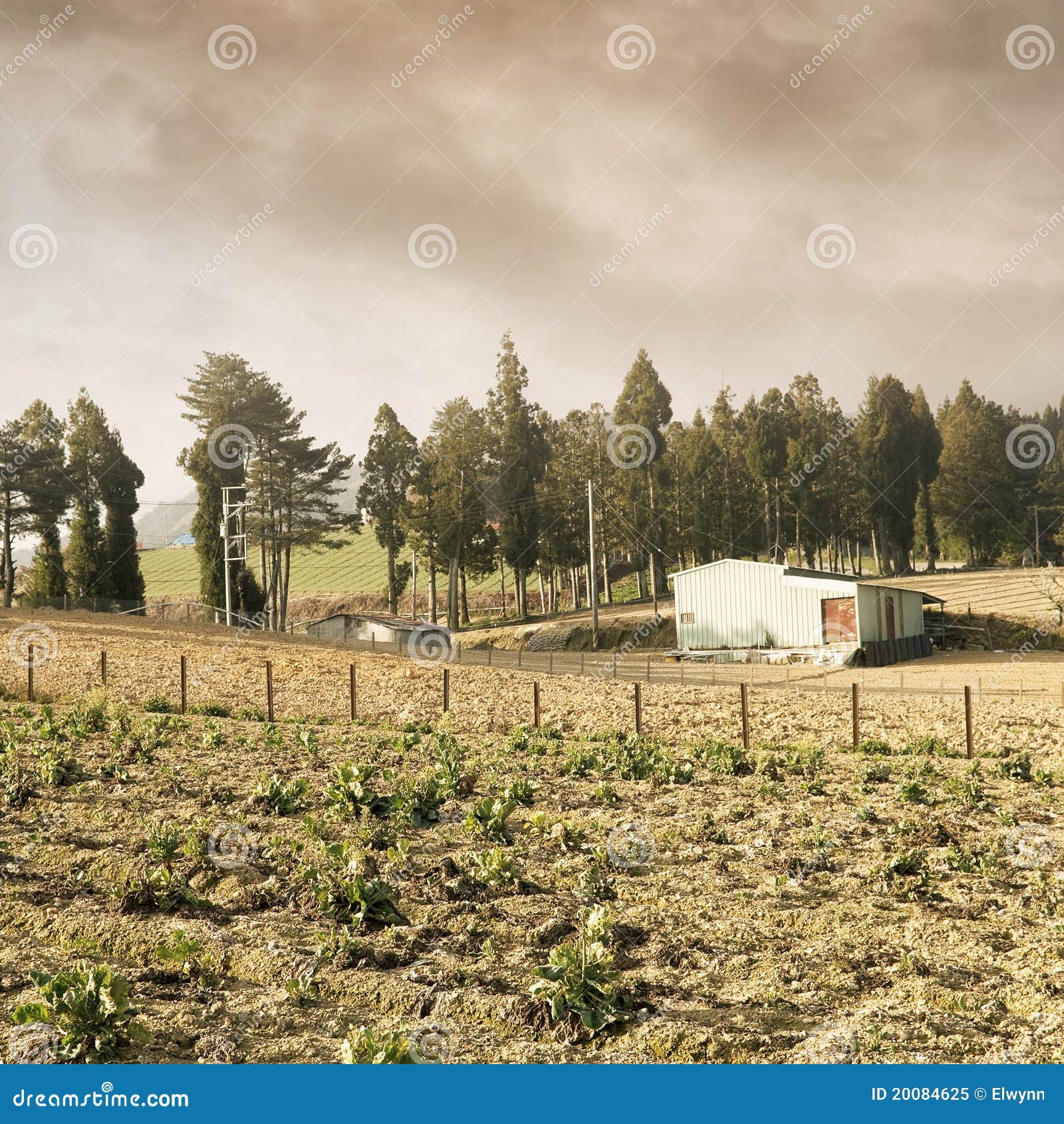 Campagne image stock. Image of tranquillité, constructions - 20084625