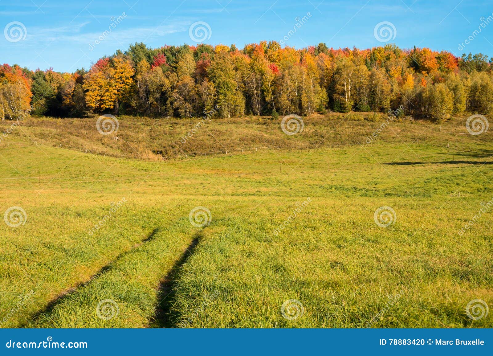Campagne Du Québec En Automne Photos Stock - Téléchargez 27 Photos ...