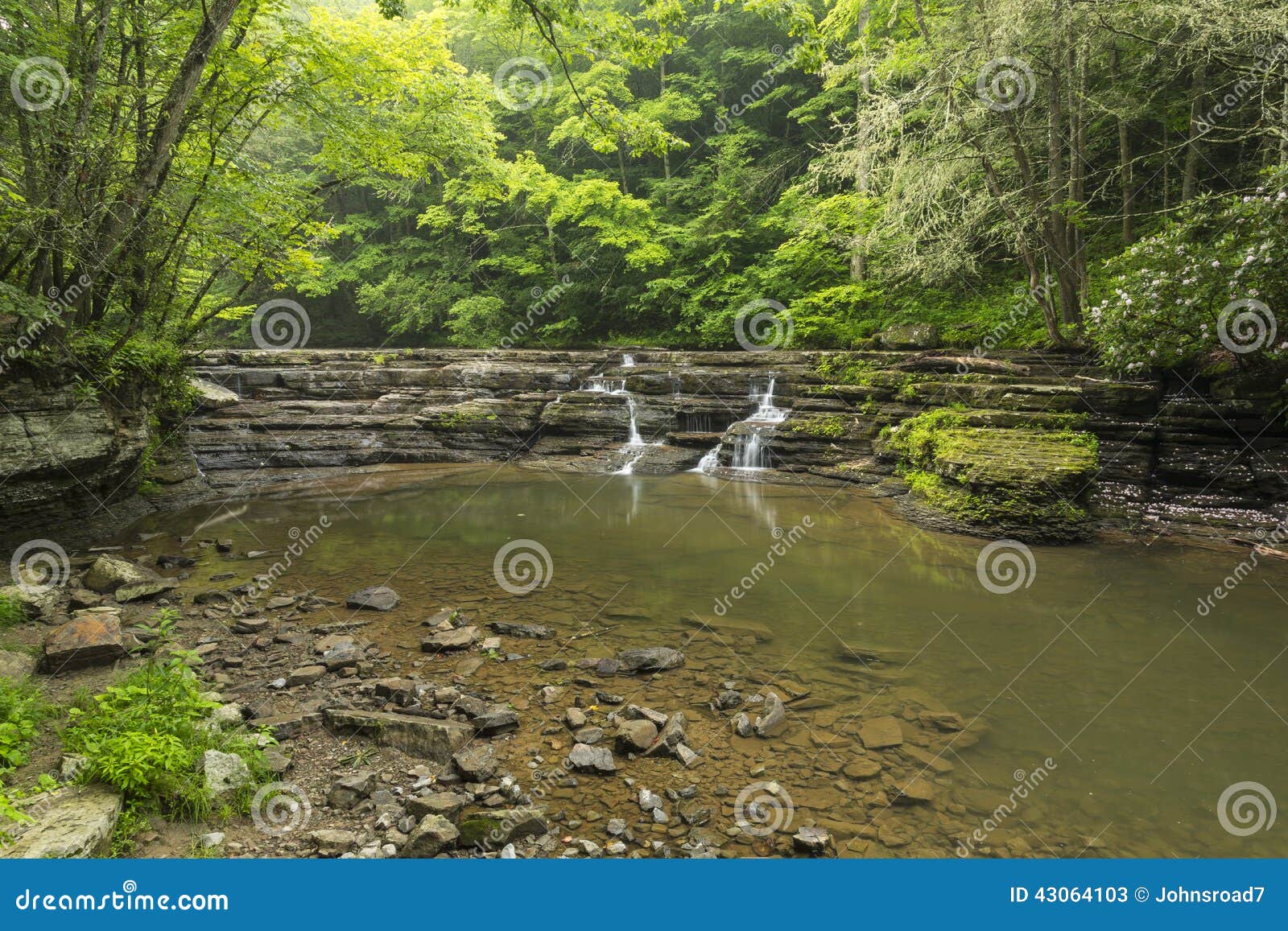 Campbell Falls stock image. Image of summer, beautiful - 43064103