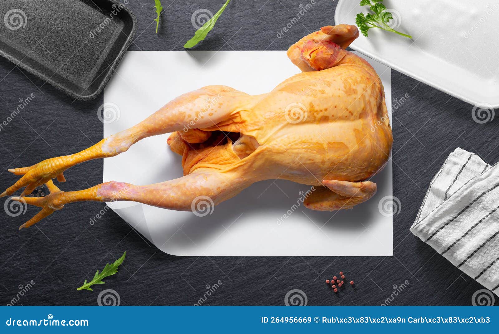 Camper Chicken on a Flat Lay of a Kitchen with Various Items Stock ...