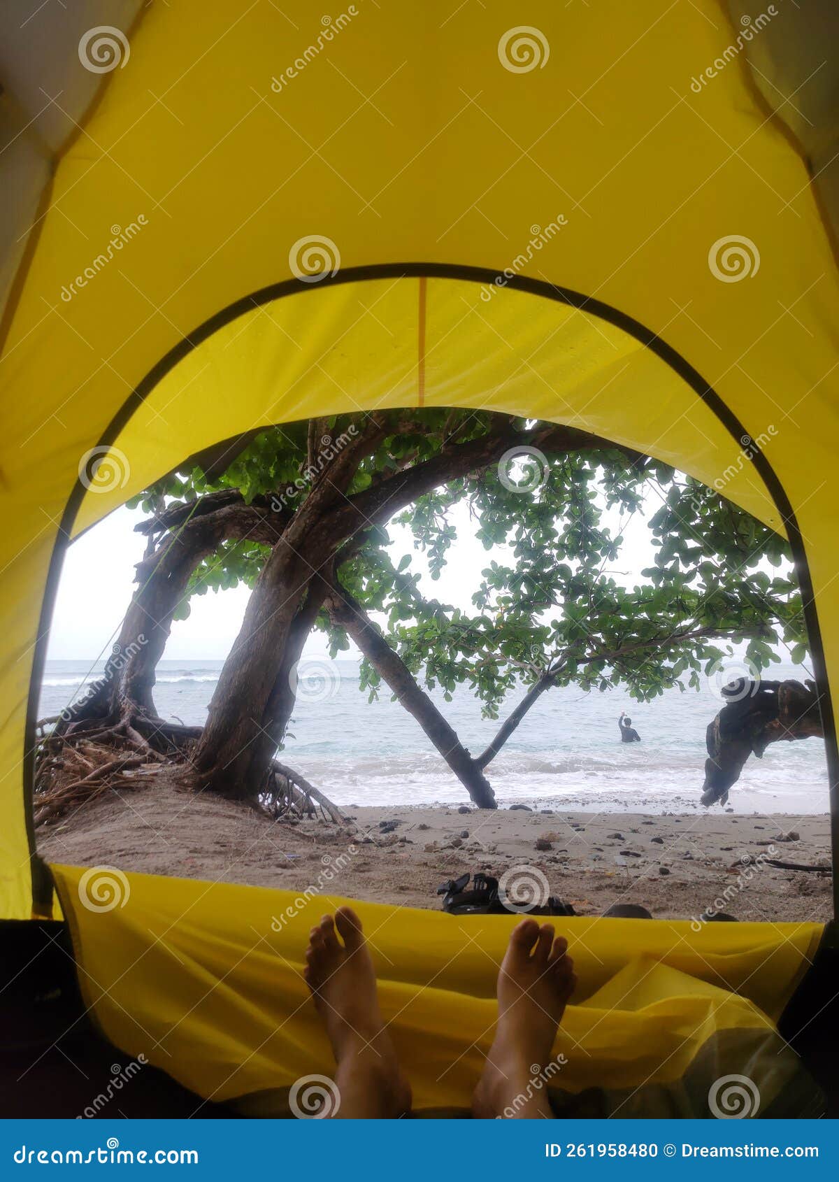 Camper and Nature stock photo. Image of adventure, nature - 261958480