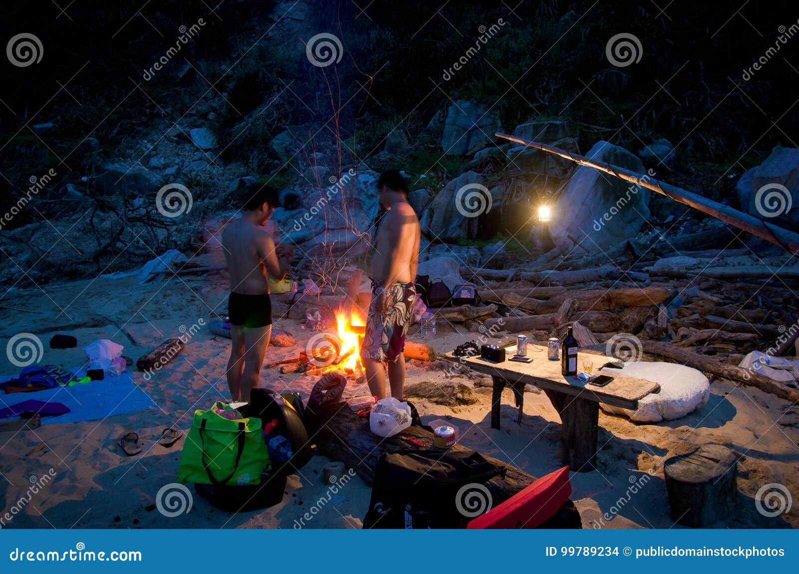 Campers Around Bonfire Picture. Image: 99789234