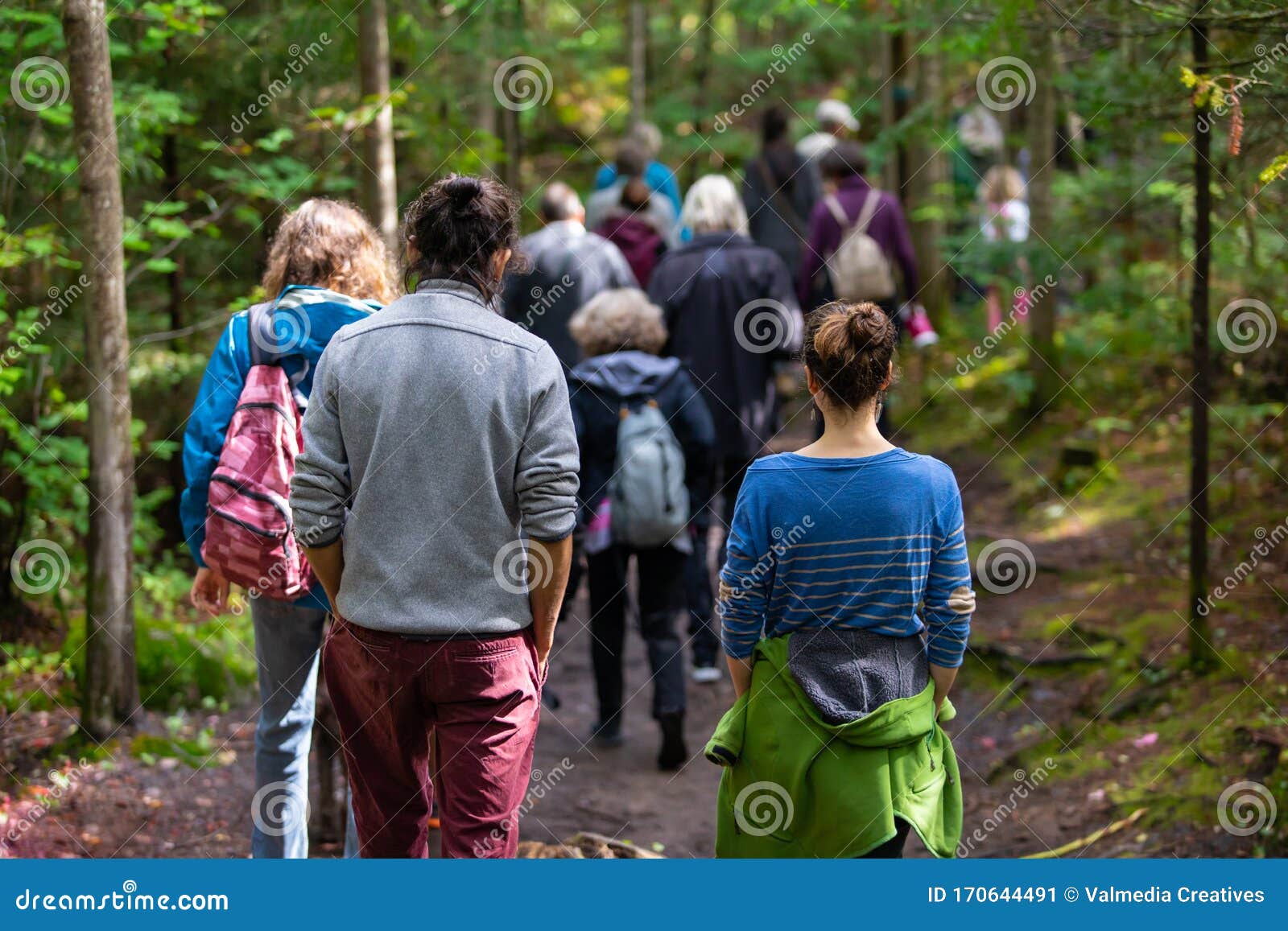 Campers with Backpack Walking on Forest Path Editorial Photo - Image of ...