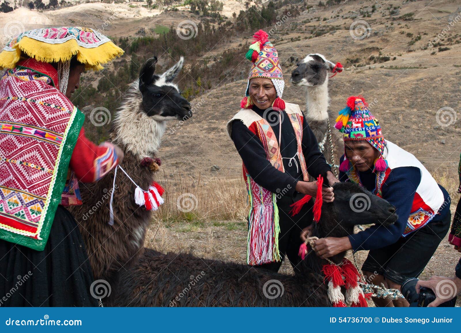 Campesinos Peruanos Y Sus Llamas Imagen editorial - Imagen de hombres ...