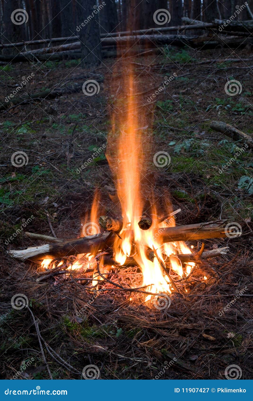 Campfire stock image. Image of burn, fuel, fire, flame - 11907427