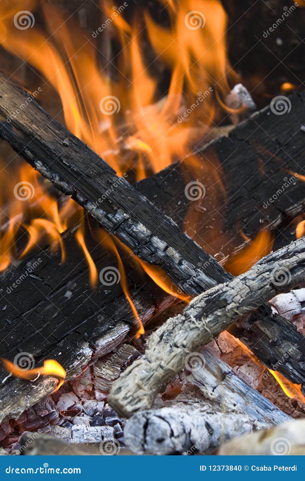 Campfire stock photo. Image of slack, cinder, fire, diagonal - 12373840