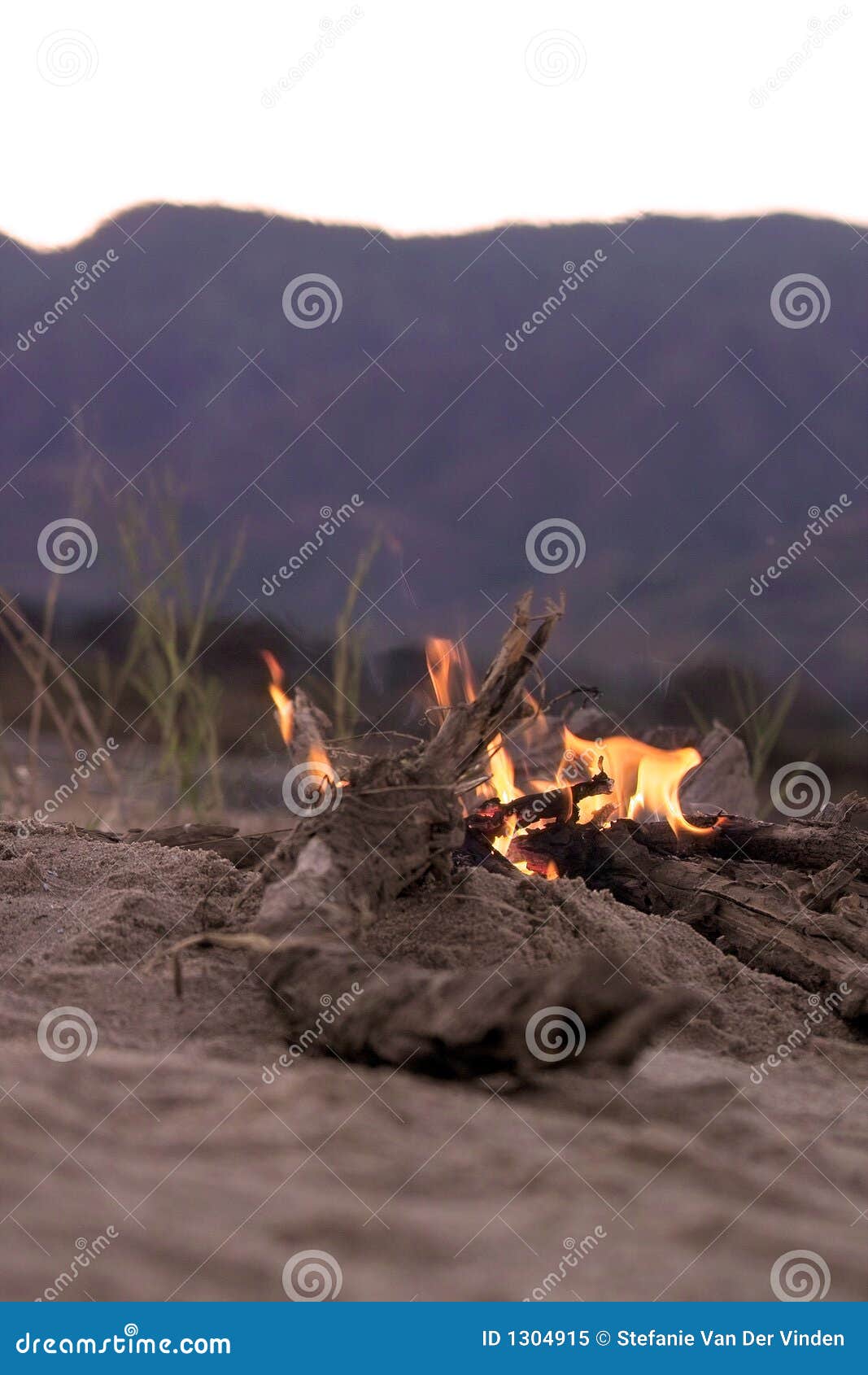 Campfire stock image. Image of engulfed, ignite, behavior - 1304915
