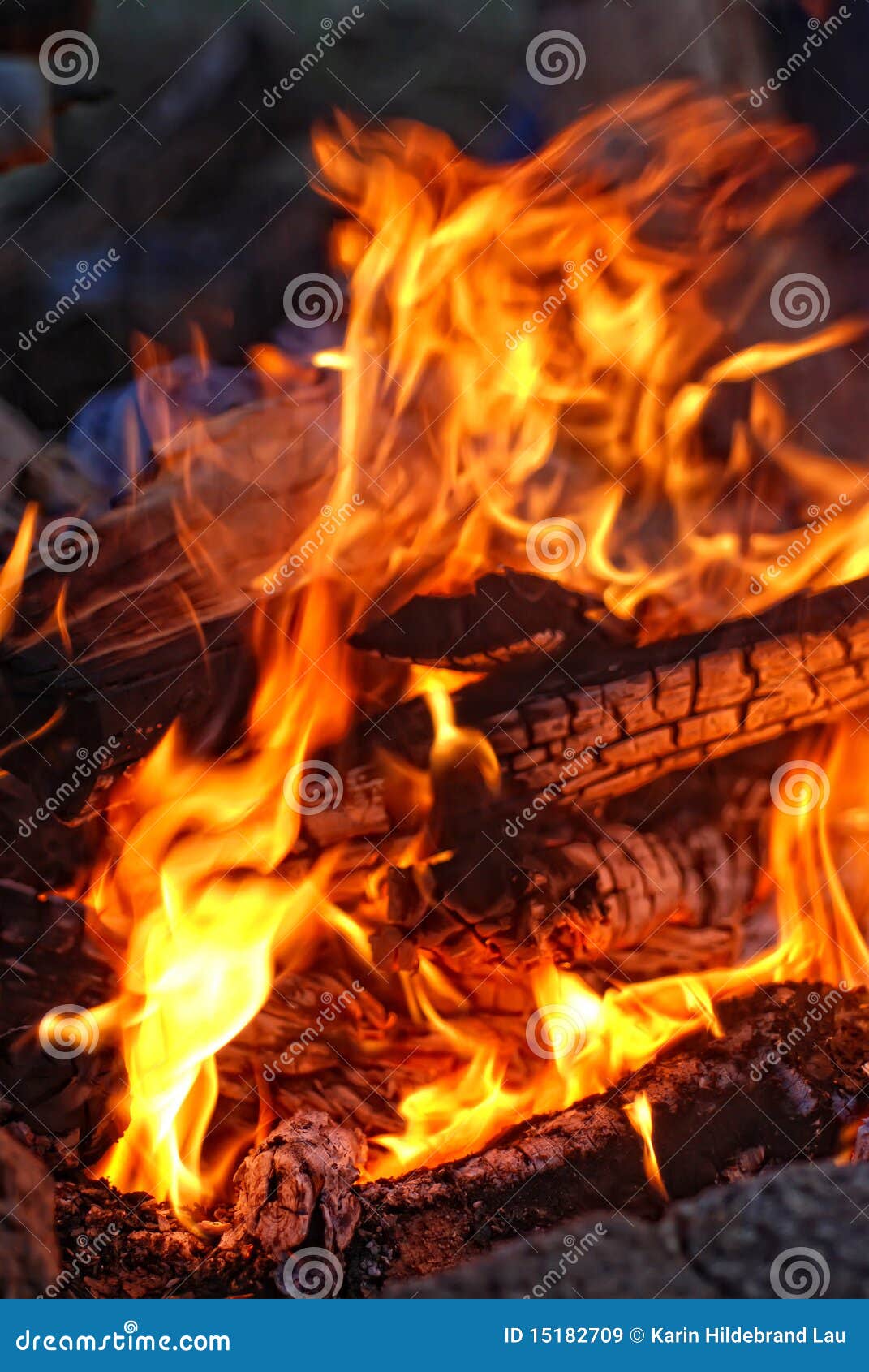 Campfire stock image. Image of warmth, burn, burning - 15182709