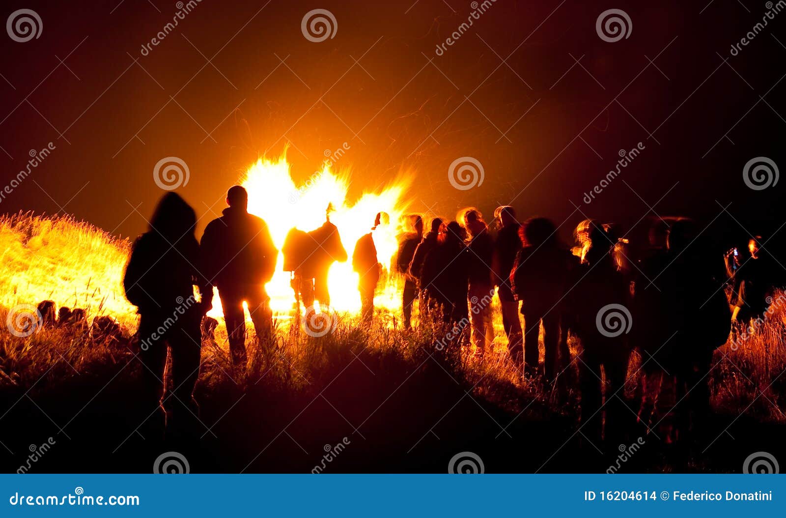 Campfire stock photo. Image of group, campfire, nights - 16204614