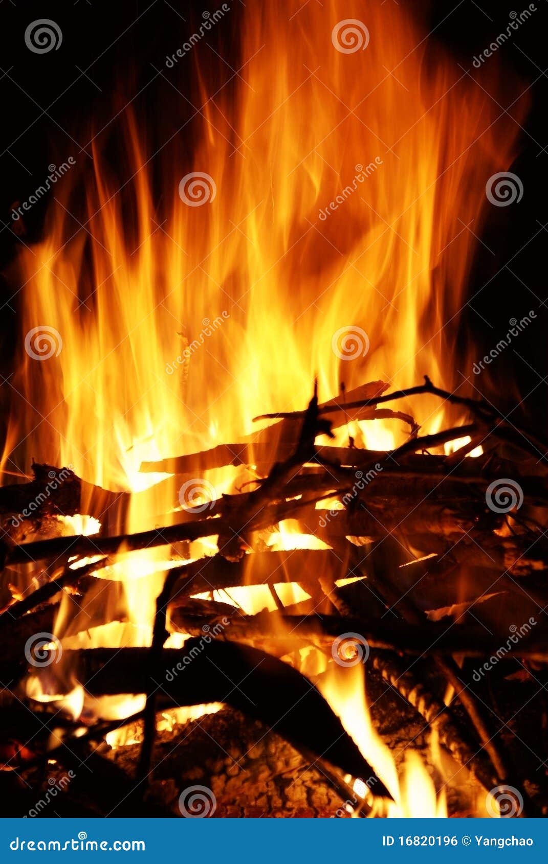 Campfire stock photo. Image of outdoor, burning, lumber - 16820196