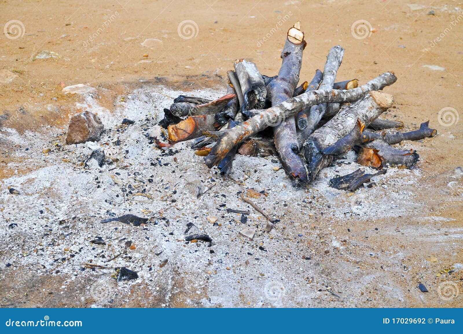 Campfire stock photo. Image of bonfire, details, energy - 17029692
