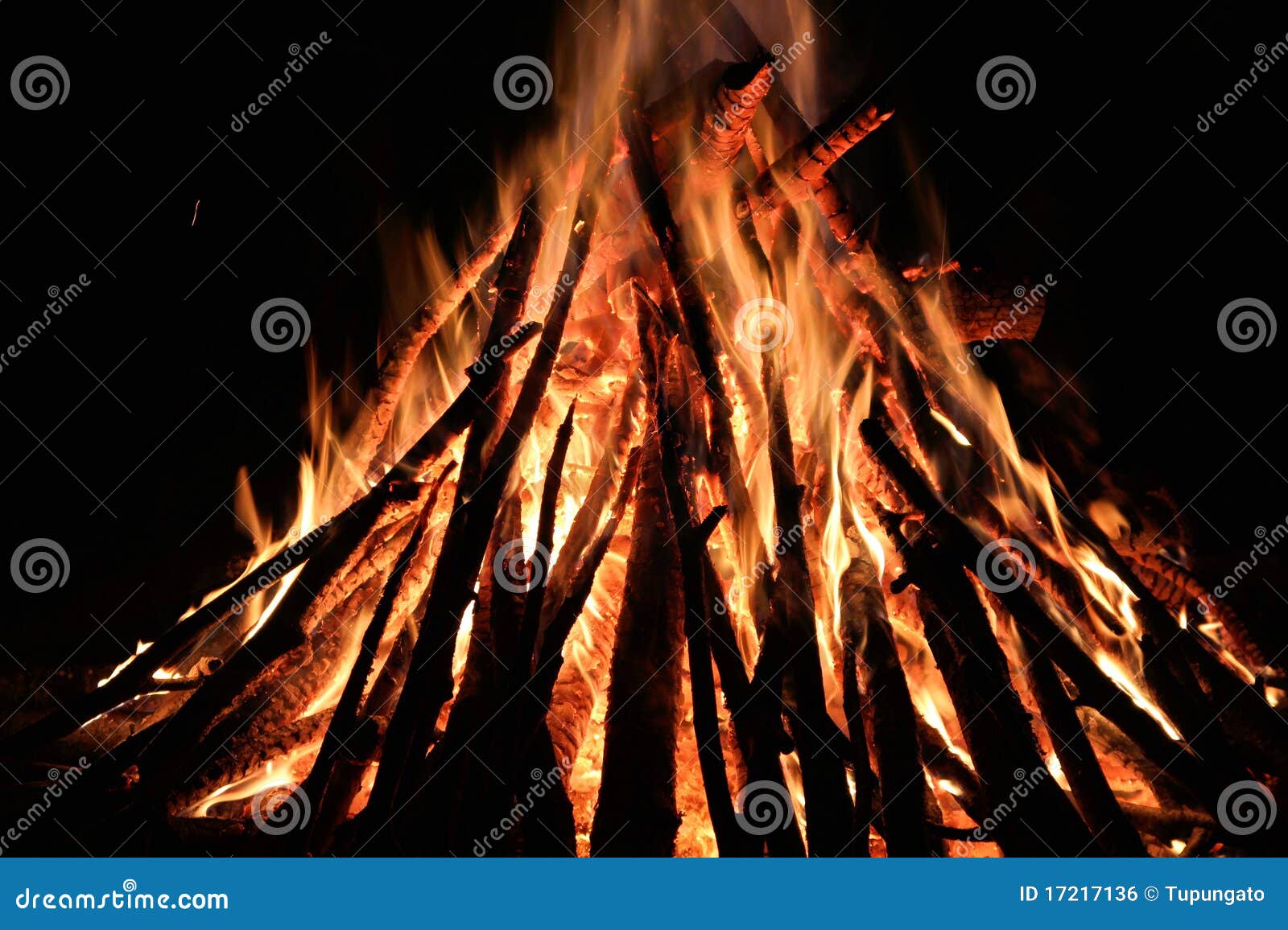 Campfire stock photo. Image of nighttime, outdoor, fire - 17217136