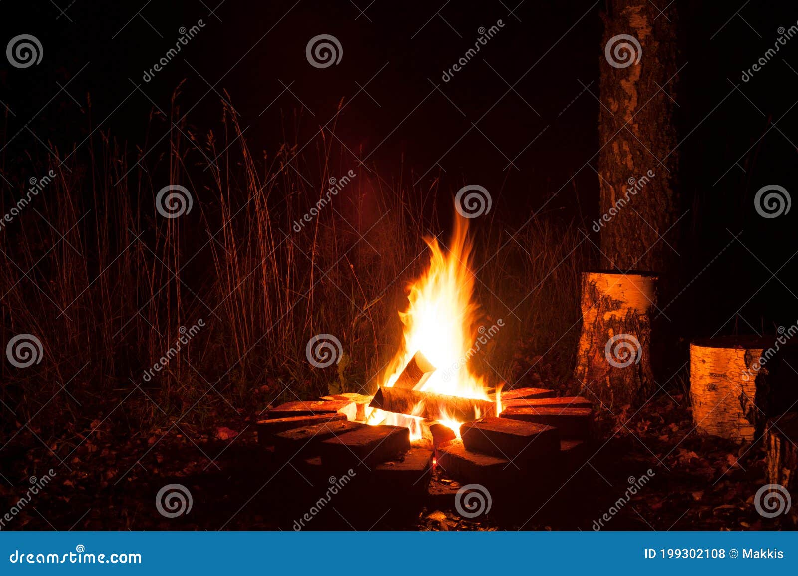 Campfire in the Dark Evening Stock Photo - Image of fall, flames: 199302108
